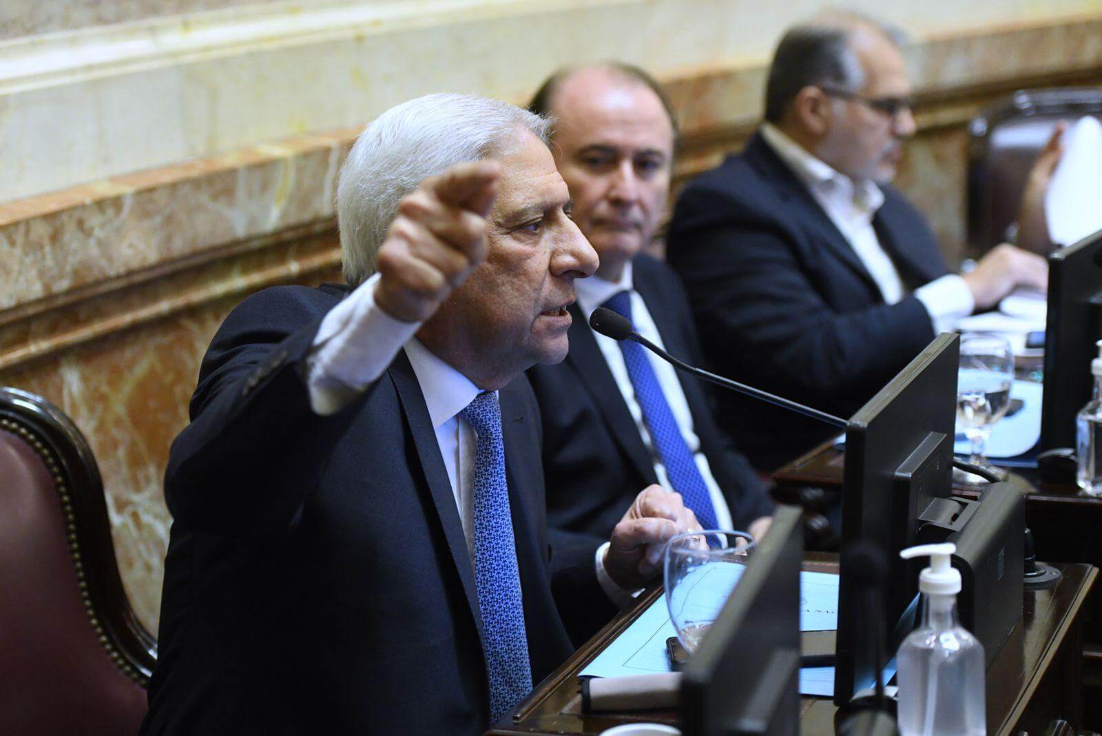 Neder Sobre El Retorno A Comisión Del Proyecto De Ley Bases “en Forma