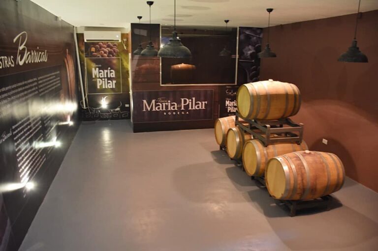 Finca María del Pilar presentó dos vinos nuevos hechos con uvas ...