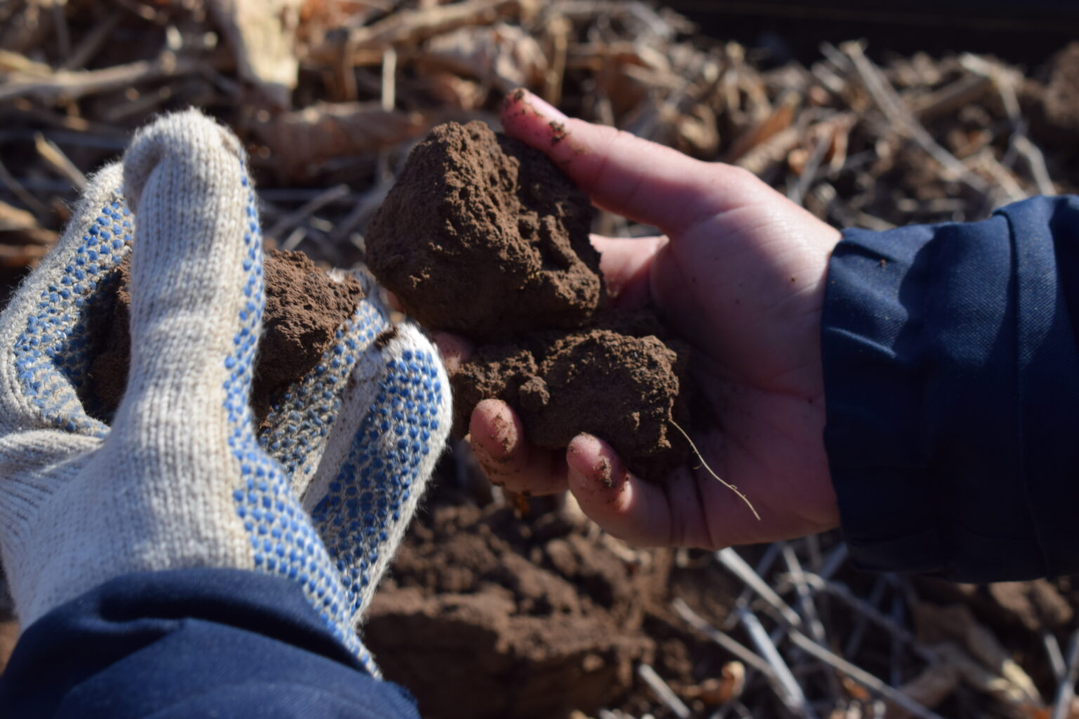 INTA actualizó la carta de suelos del departamento Belgrano - Sur ...