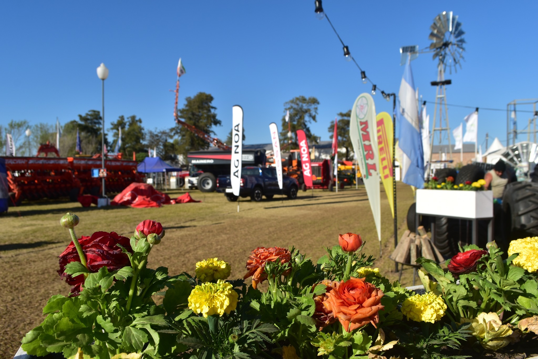 La Expo Bandera 2024 se prepara para celebrar su 35° edición con el ...
