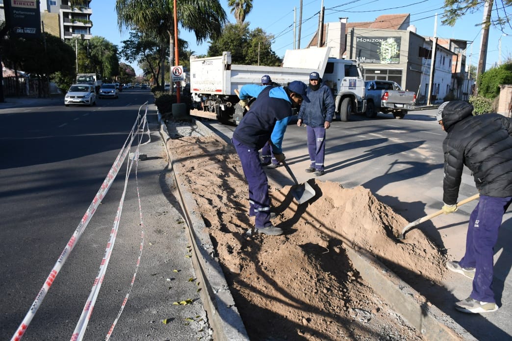 Realizan trabajos de mejoras en la platabanda de la avenida Belgrano de ...
