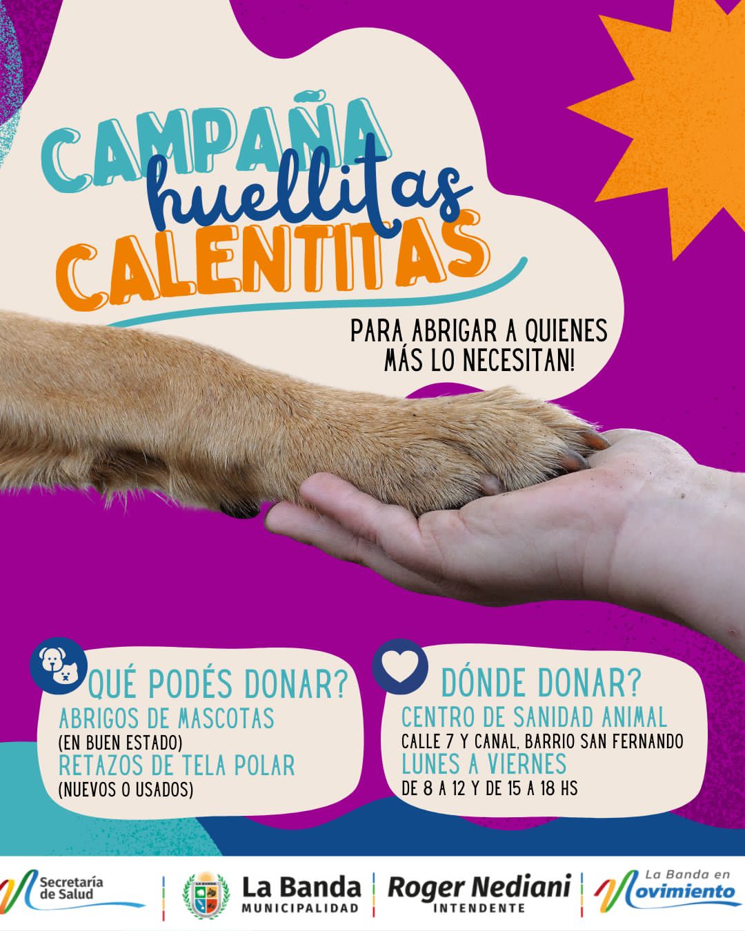 “Huellitas Calentitas”: una campaña solidaria para proteger a nuestras mascotas del frío - Sur ...